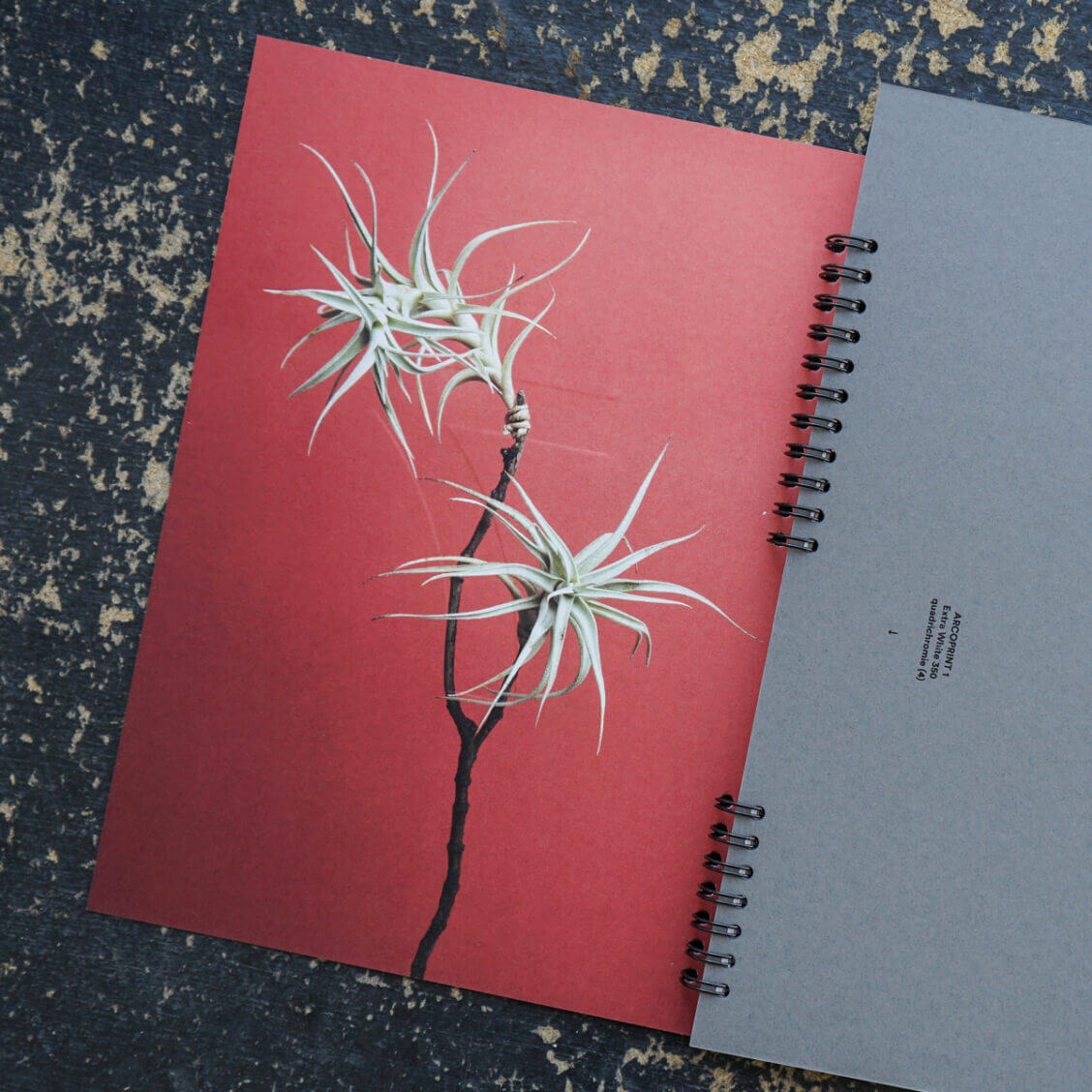 Digital printing - Polygravia